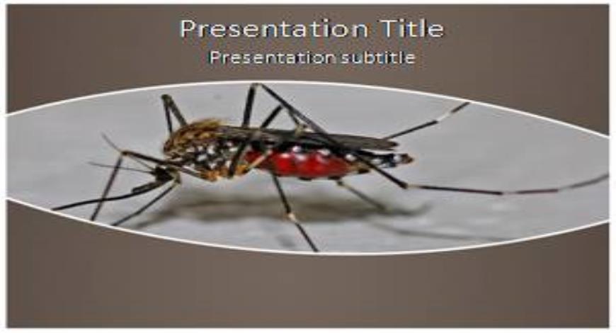 Mosquito Free PowerPoint Template and Background