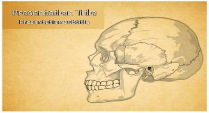 Free Skull PowerPoint Template and Themes