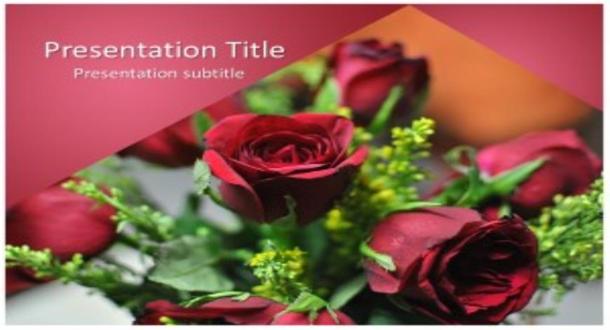 Rose Free PowerPoint Template and Background