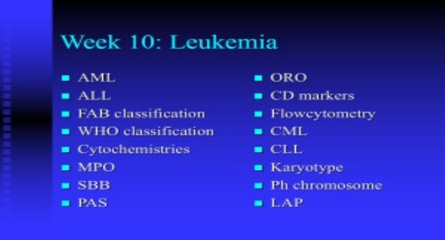 Free Download About Leukemia PowerPoint Presentation Slides