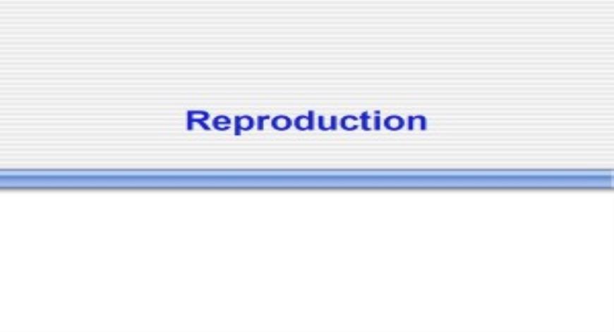 Free Download Intro (MITOSIS)(Asexual Reproduction) PowerPoint ...