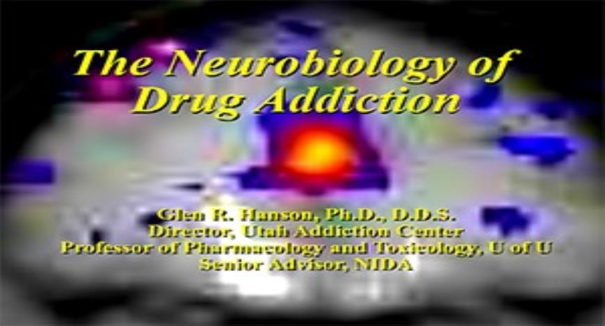 Free Download The Neurobiology of Drug Addiction PowerPoint ...