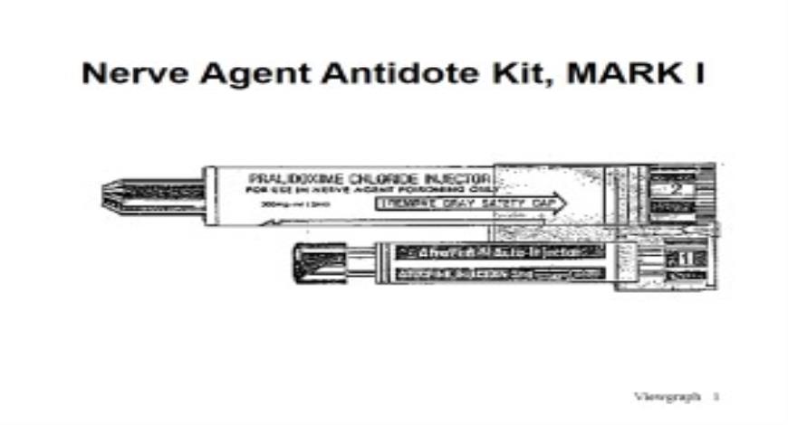 Free Download Nerve Agent Antidote Kit MARK I PowerPoint Presentation ...