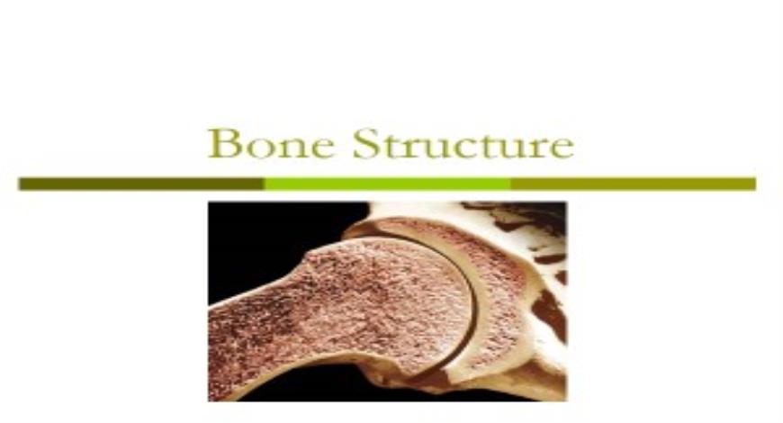 Free Download Bone Structure-Pratts Biology PowerPoint Presentation Slides