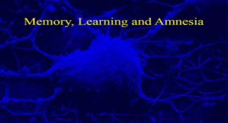 Free Download Learning Memory and Amnesia PowerPoint Presentation Slides