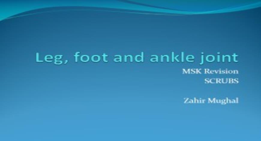 Ppt Ankle And Foot Joint Powerpoint Presentation Id