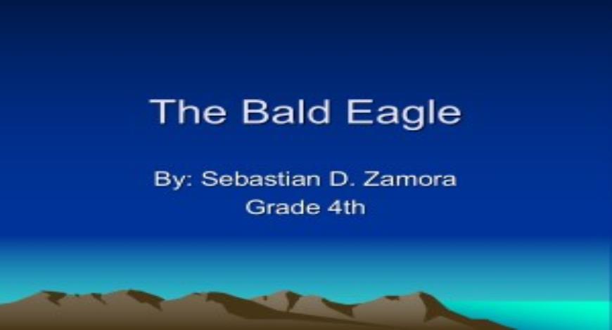 Free Download The Bald Eagle PowerPoint Presentation Slides