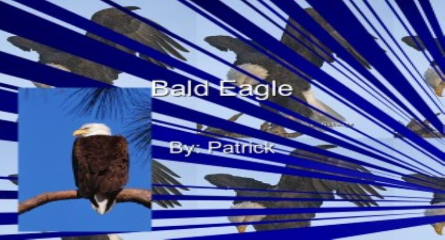 Free Download Bald Eagle PowerPoint Presentation Slides