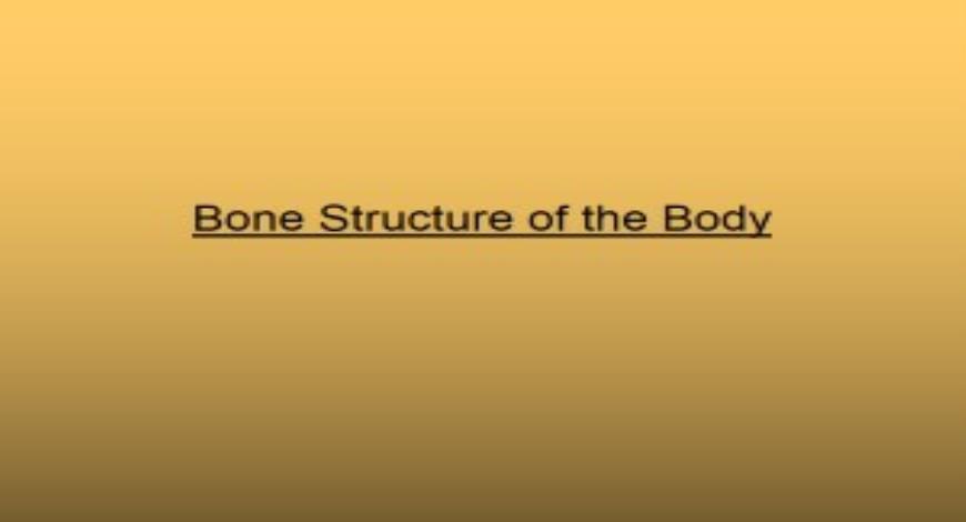 Free Download Bone Structure of the Body PowerPoint Presentation Slides