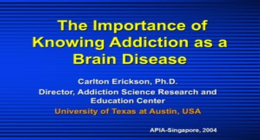 Free Download The Neurobiology of Addiction PowerPoint Presentation Slides