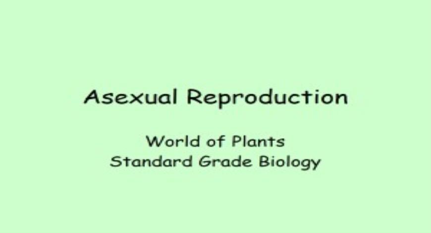 Free Download Asexual Reproduction Wiki PowerPoint Presentation Slides