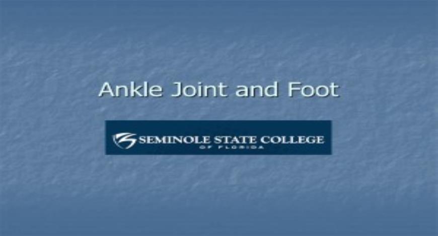 Free Download Ankle Joint and Foot PowerPoint Presentation Slides