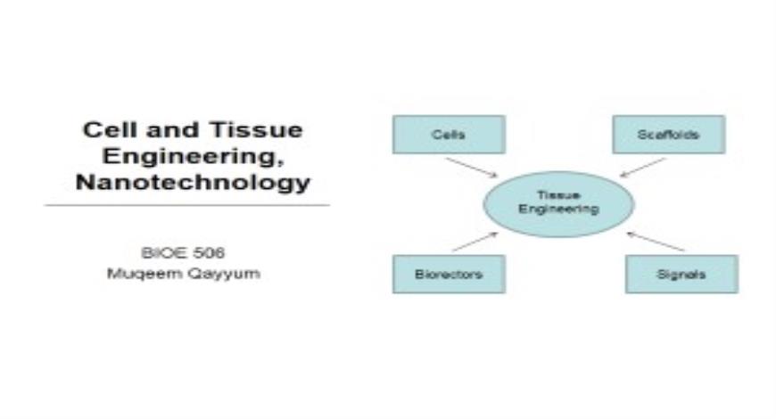 Free Download Cell and Tissue Engineering Nanotechnology PowerPoint ...