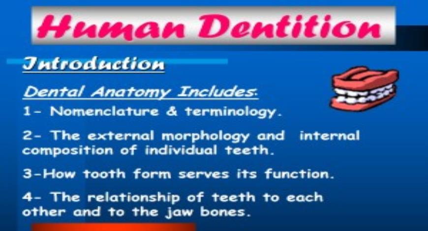 Free Download Dental Anatomy Introduction and Nomenclature PowerPoint ...