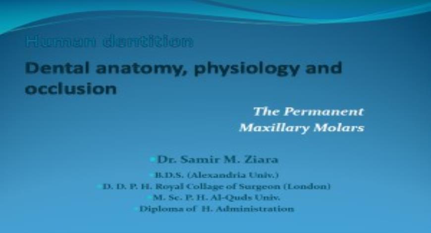 Free Download Human dentition Dental anatomy physiology and occlusion ...