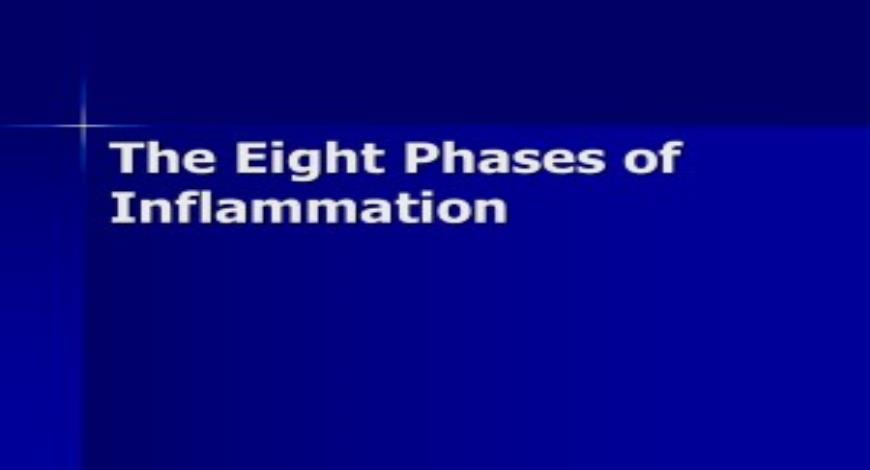 Free Download The Eight Phases of Inflammation PowerPoint Presentation ...