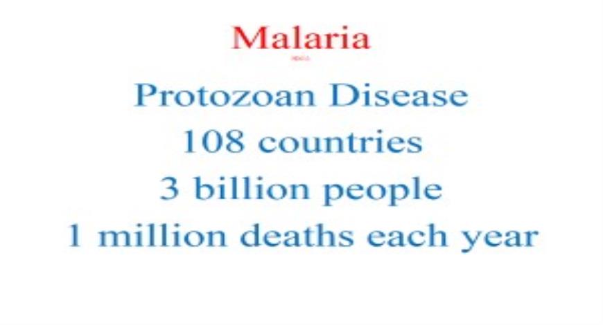 Free Download Malaria PowerPoint Presentation Slides