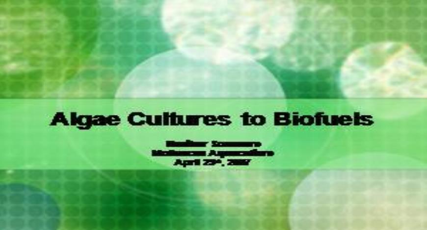 Free Download Algae Cultures to Biofuels PowerPoint Presentation ...