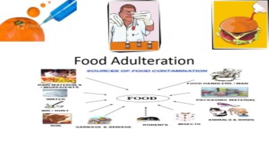 Free Download Food Adulteration PowerPoint Presentation | SlidesFinder.com