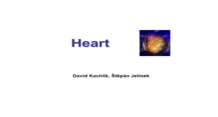 Free Download Heart PowerPoint Presentation Slides