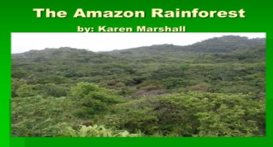 Free Download The Amazon Rainforest University of North Texas ...