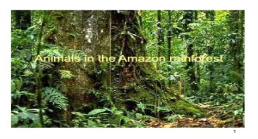 Free Download Animals in the Amazon rainforest PowerPoint Presentation ...