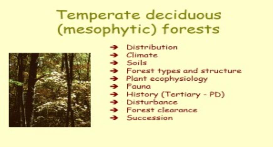 Free Download Temperate deciduous forests PowerPoint Presentation ...