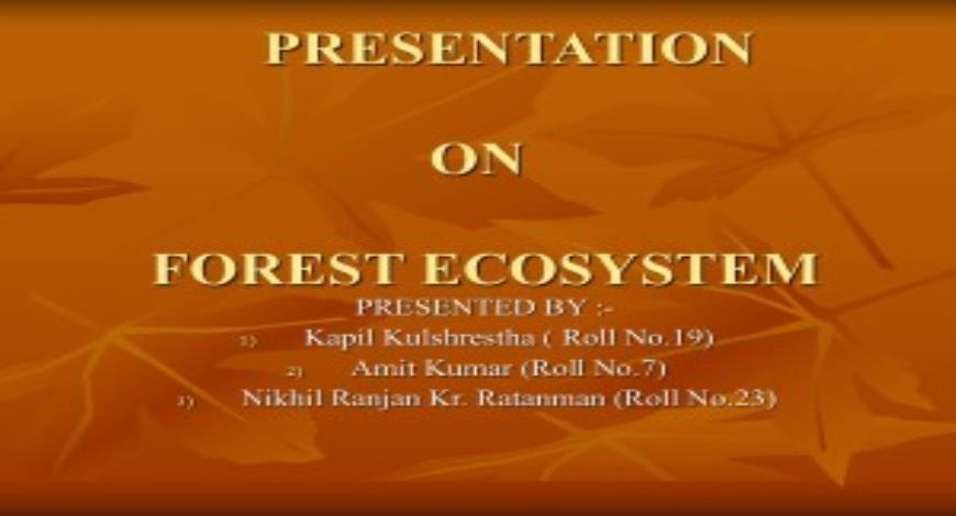 Free Download FOREST ECOSYSTEM PowerPoint Presentation | SlidesFinder.com