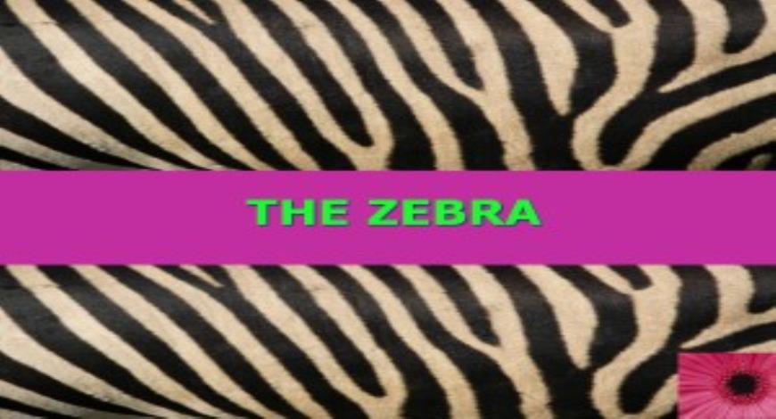 Free Download THE ZEBRA PowerPoint Presentation | SlidesFinder.com