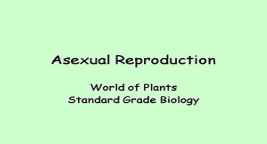 Free Download Asexual Reproduction PowerPoint Presentation Slides Free ...