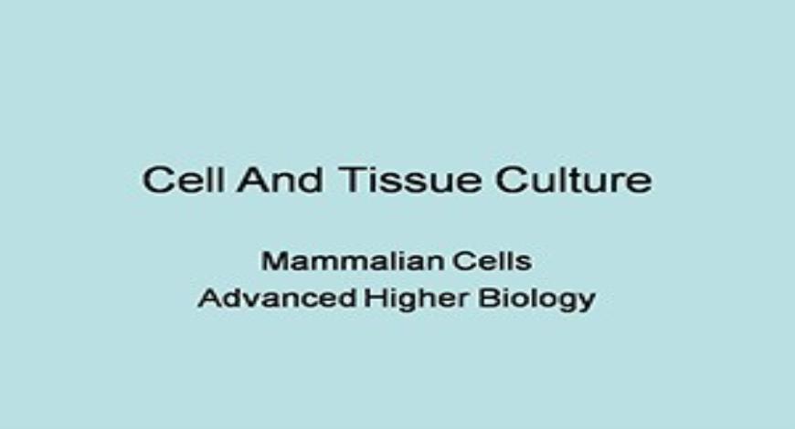 Free Download Cell And Tissue Culture PowerPoint Presentation Slides ...
