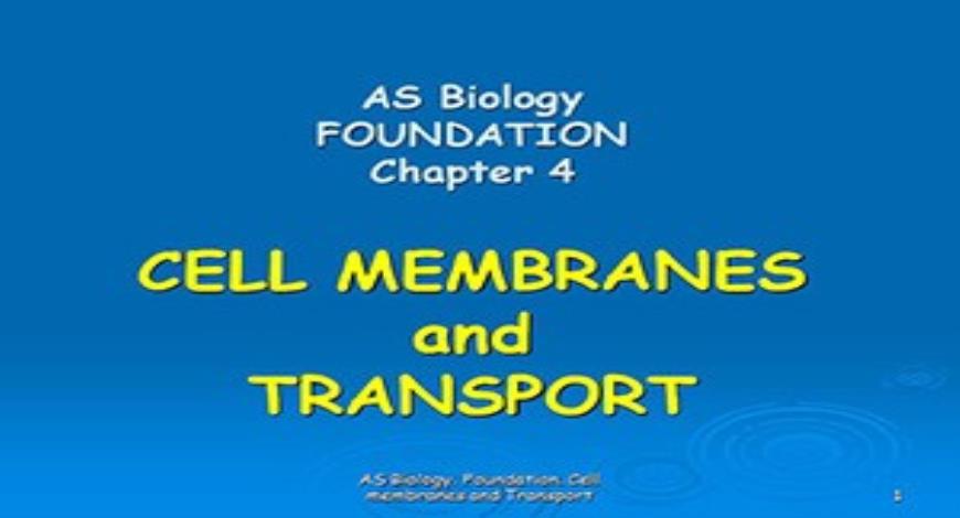 Free Download Cell Membranes PowerPoint Presentation Slides Free Download