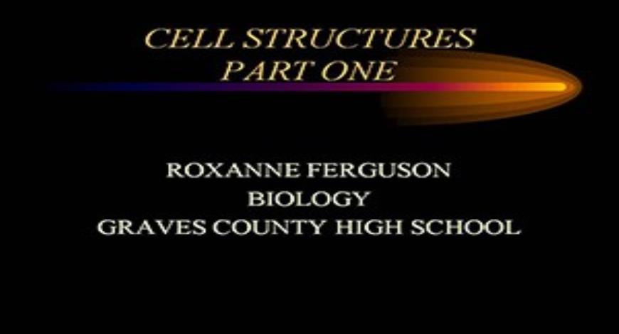 Free Download Cell Structure And Function Powerpoint Presentation Slides Free Download
