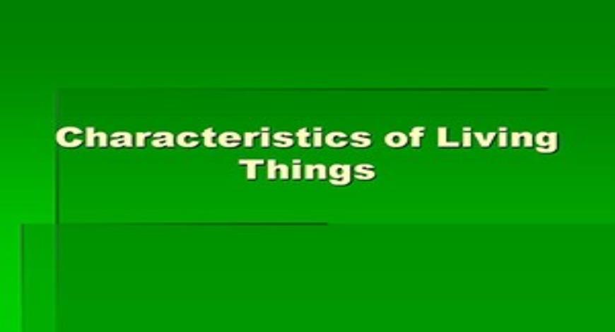 Free Download Characteristics Of Living Things PowerPoint Presentation ...