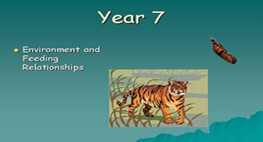 Free Download Environment And Feeding Relationships PowerPoint ...