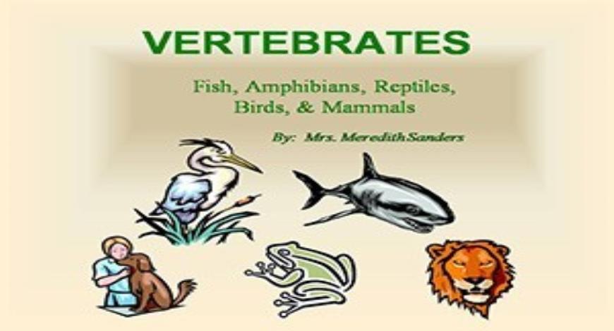 Free Download Vertebrates Animals PowerPoint Presentation Slides Free ...
