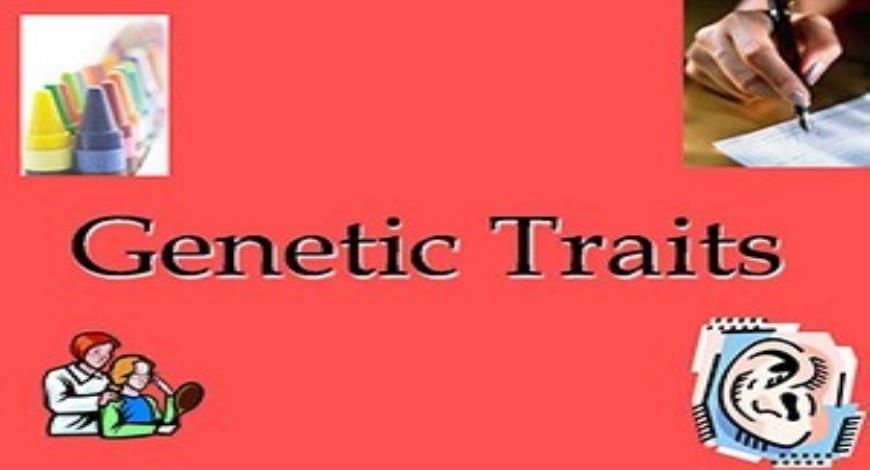 Free Download Genetic Traits PowerPoint Presentation Slides Free Download