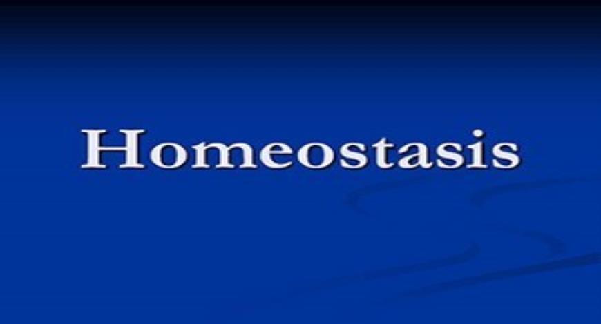 Free Download Homeostasis Of The Body PowerPoint Presentation Slides ...