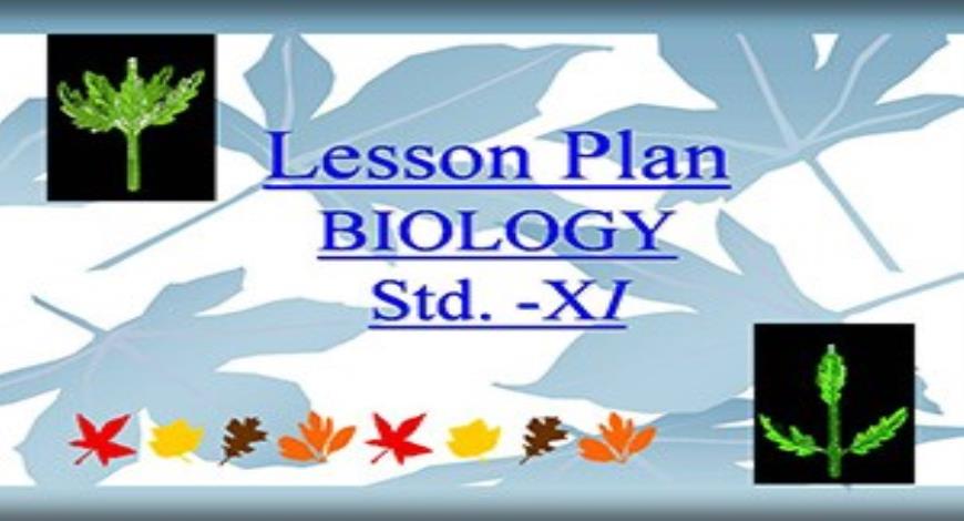 Free Download Leaf Structures PowerPoint Presentation Slides Free Download