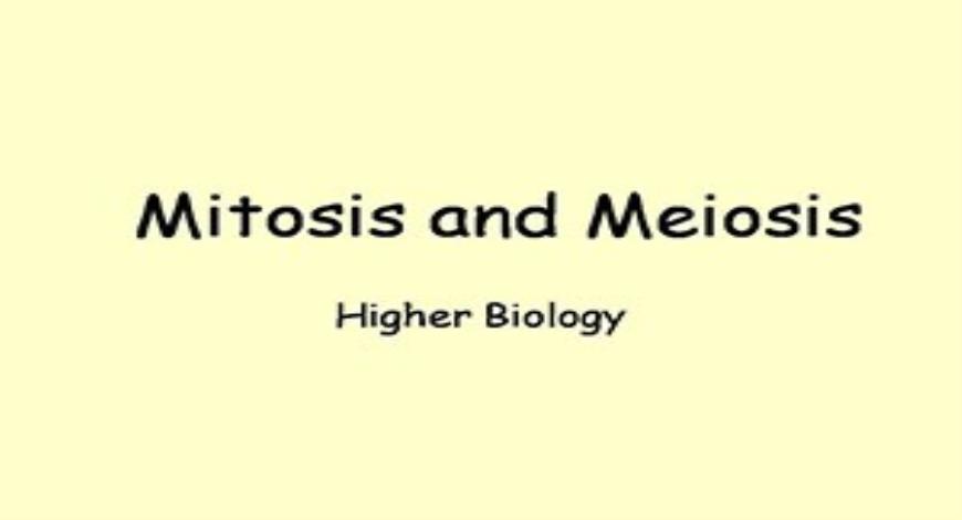 Meiosis Powerpoint High School