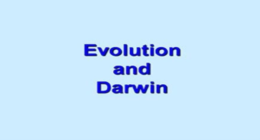Free Download Natural Selection PowerPoint Presentation Slides Free ...