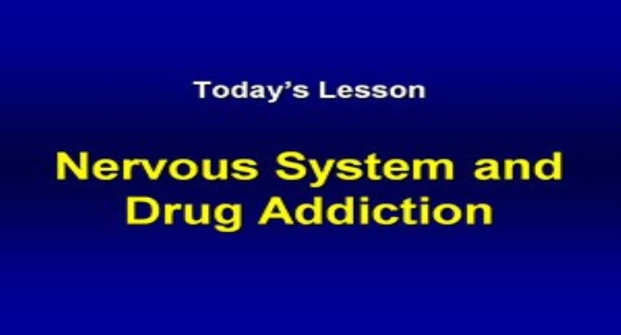 Free Download Nervous System And Drug Addiction PowerPoint Presentation ...