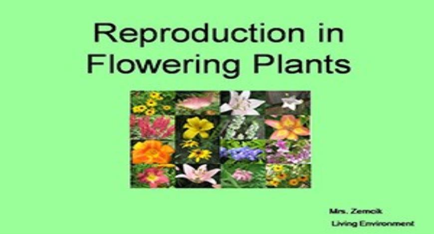 Free Download Reproduction In Flowering Plants Powerpoint Presentation