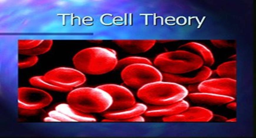 Free Download The Cell Theory PowerPoint Presentation Slides Free Download