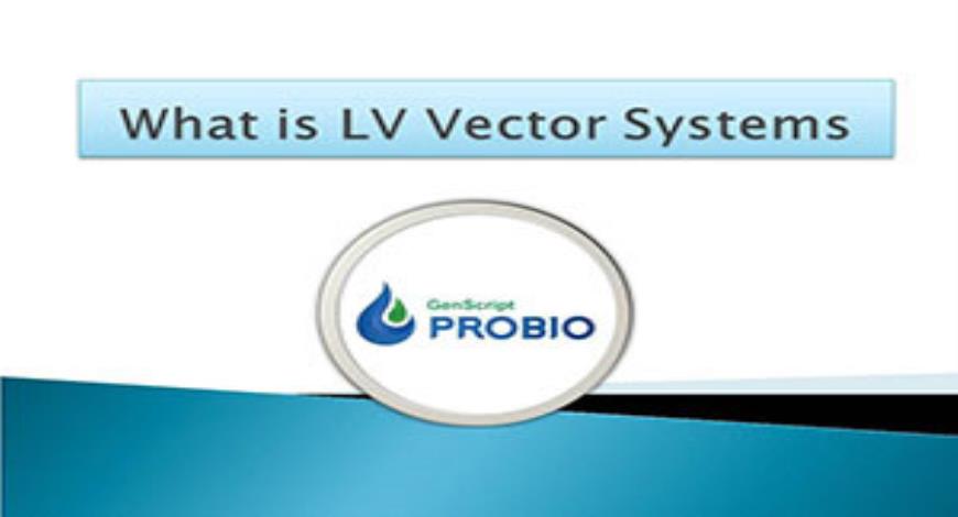 Free Download What is LV Vector Systems PowerPoint Presentation ...