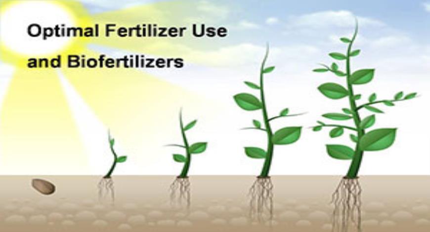 Free Download Optimal Fertilizer Use and Biofertilizers PowerPoint ...