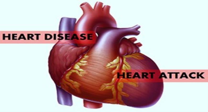 Free Download Heart Disease And Heart Attack Powerpoint Presentation