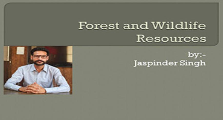 Free Download Forest and Wildlife Resources PowerPoint Presentation ...