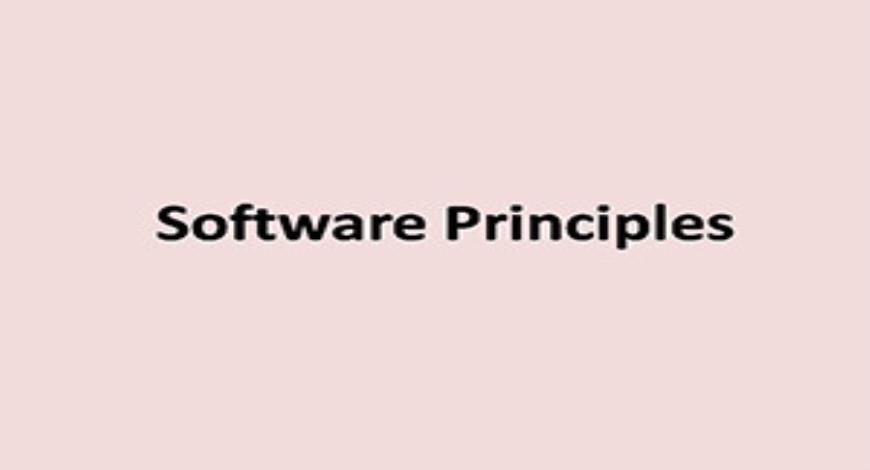 Free Download Software Principles PowerPoint Presentation ...