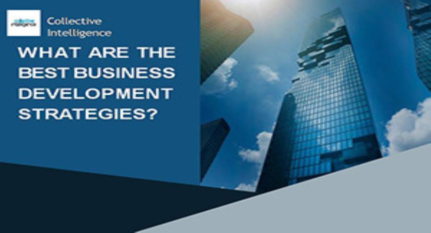 Free Download What are the Best Business Development Strategies ...